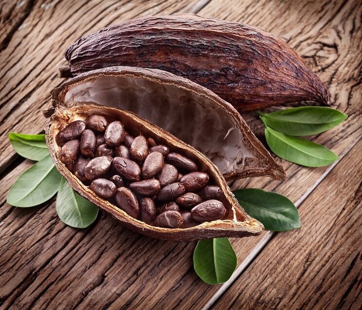 Il Cacao | I pensieri di DODLI